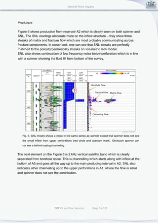 Snl 5 white paper | PDF