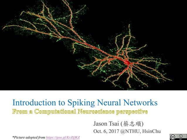 Introduction to Spiking Neural Networks: From a Computational Neuroscience perspective | PPTX