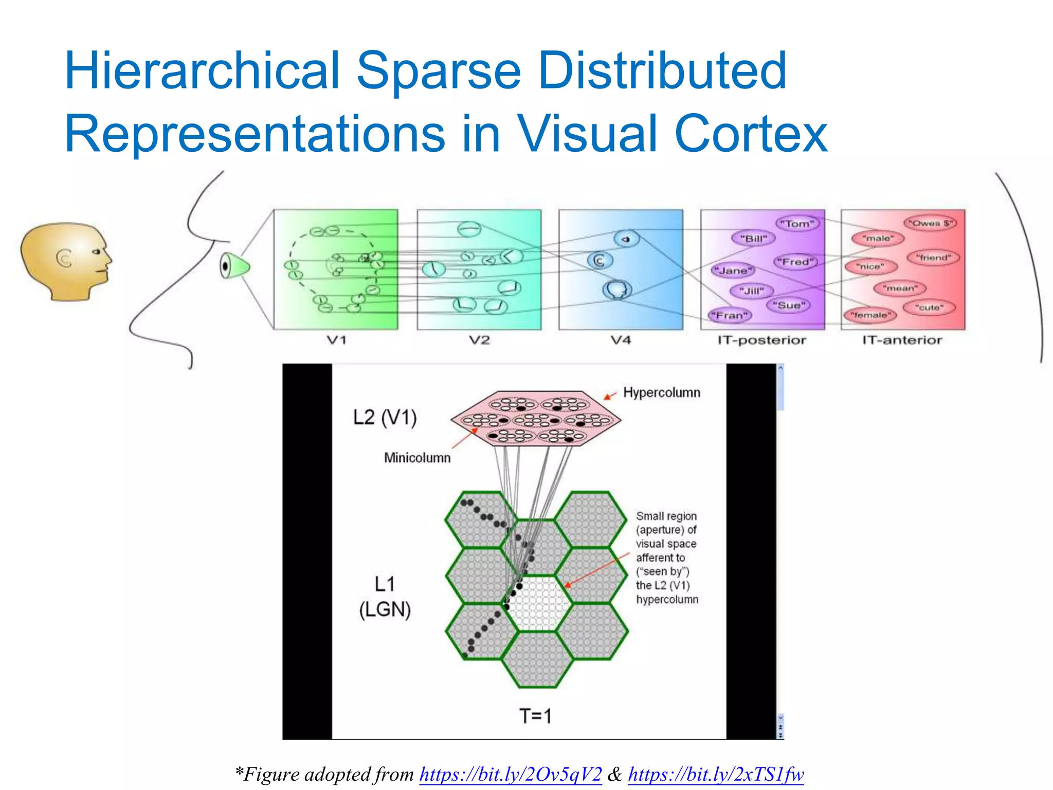 Introduction to Spiking Neural Networks: From a Computational Neuroscience perspective | PPTX