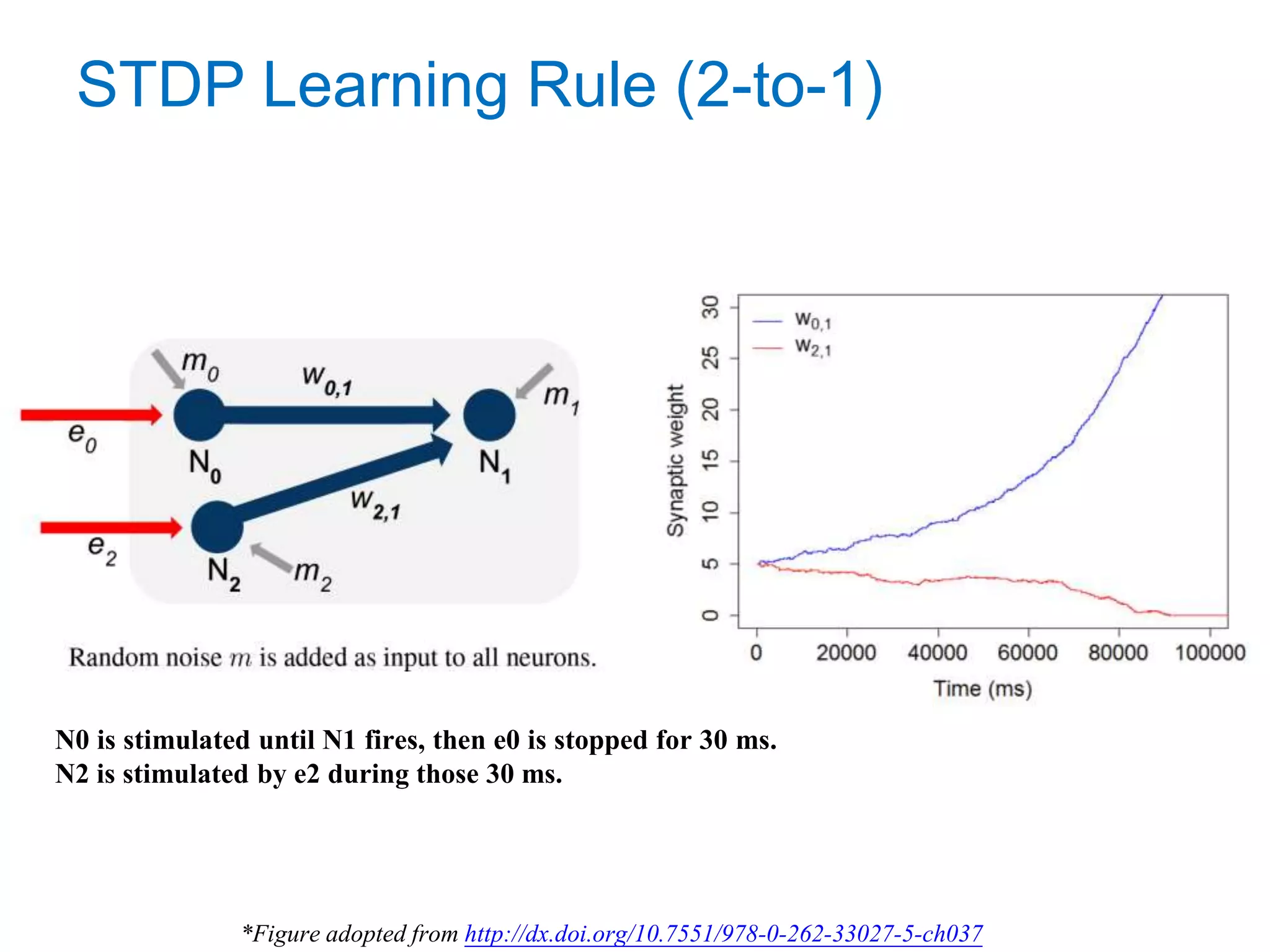 Introduction to Spiking Neural Networks: From a Computational Neuroscience perspective | PPTX