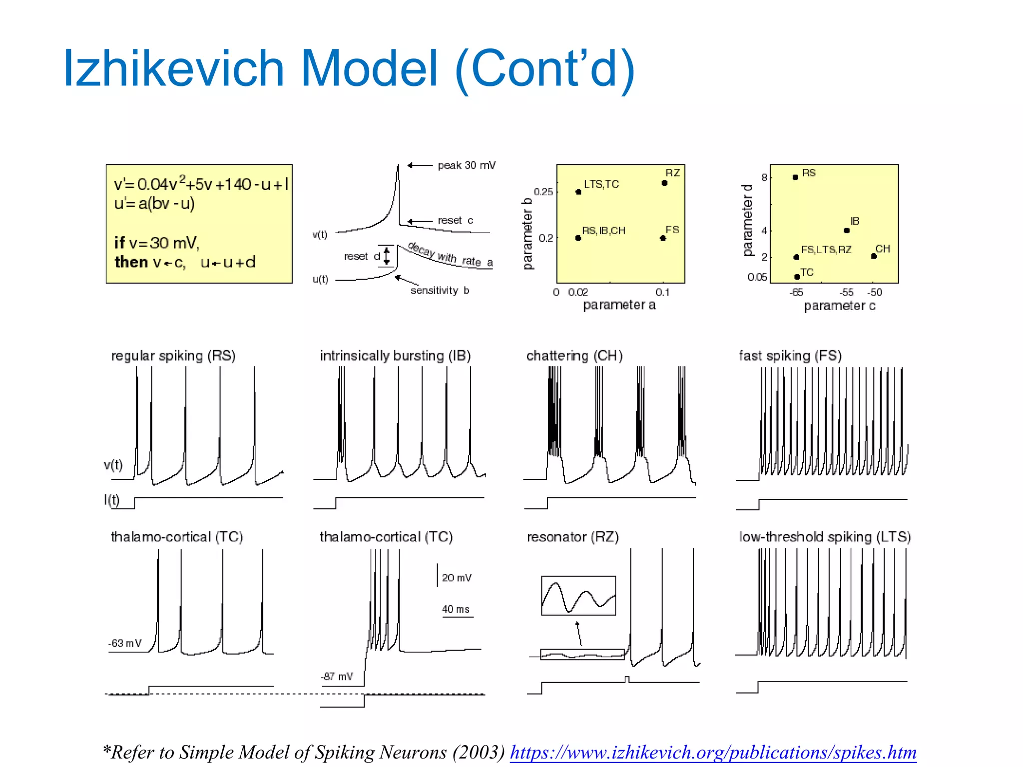 Introduction to Spiking Neural Networks: From a Computational Neuroscience perspective | PPTX