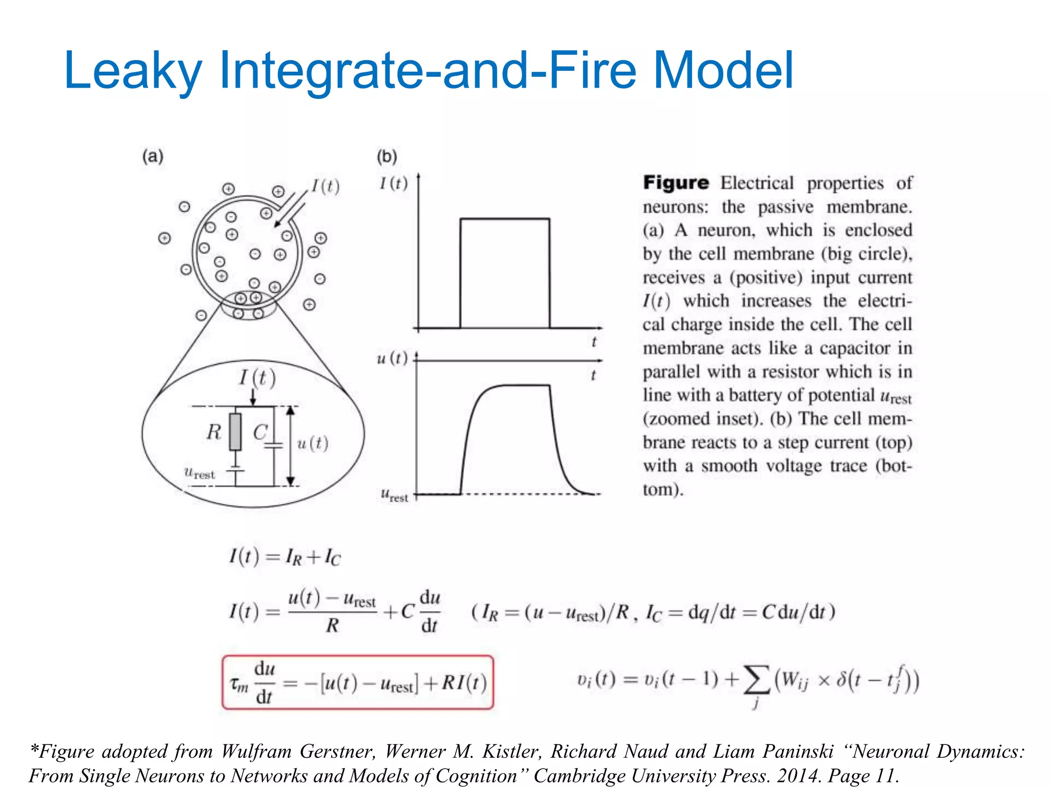 Introduction to Spiking Neural Networks: From a Computational ...