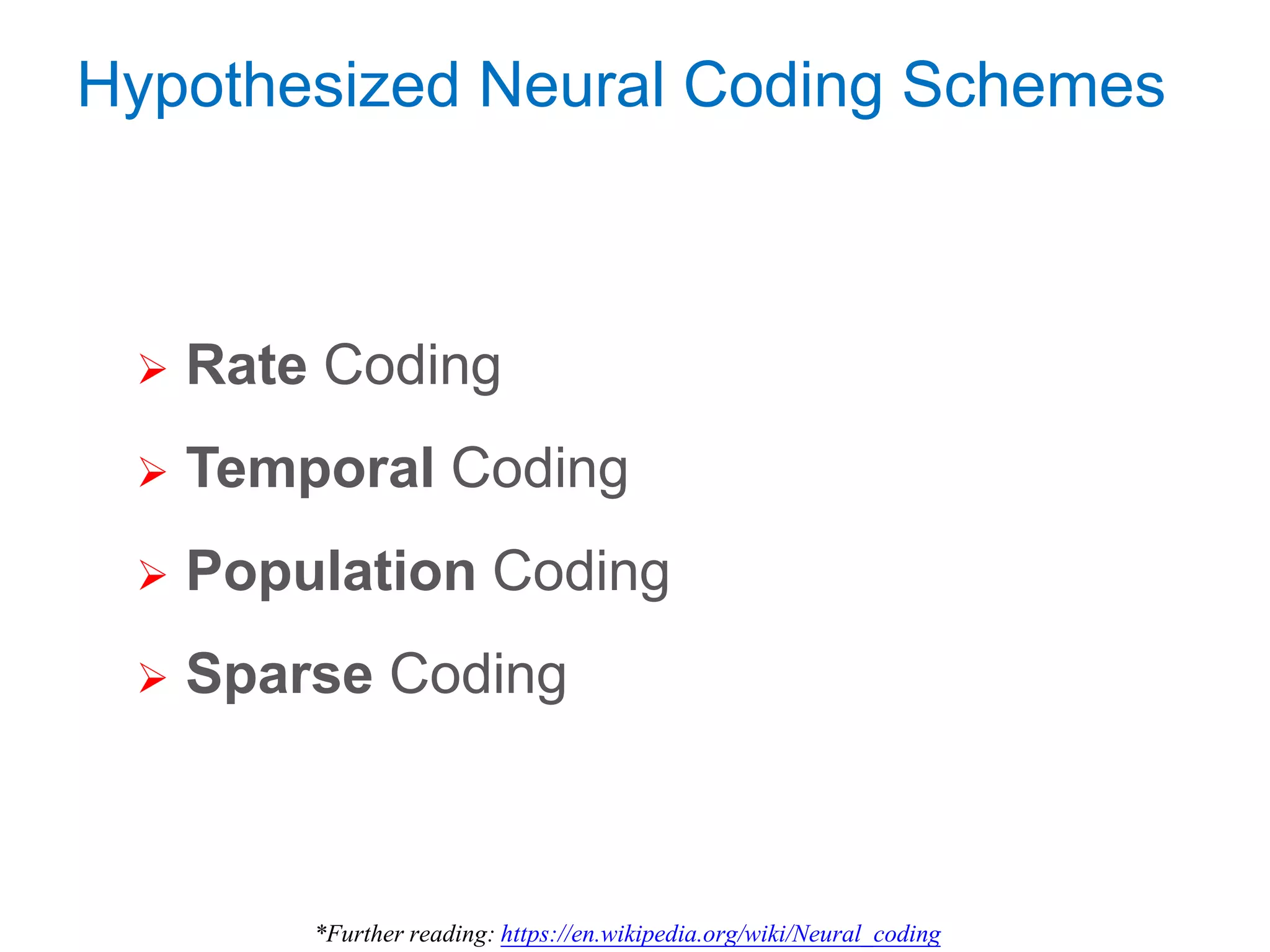 Introduction to Spiking Neural Networks: From a Computational Neuroscience perspective | PPTX