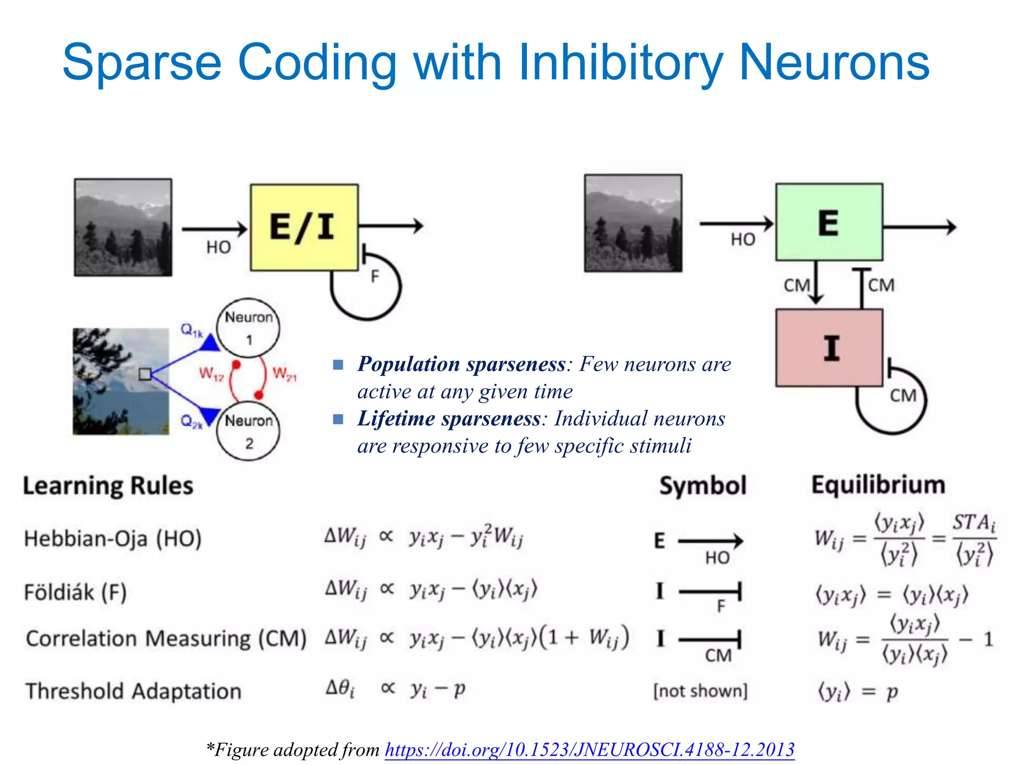 Introduction to Spiking Neural Networks: From a Computational Neuroscience perspective | PPTX