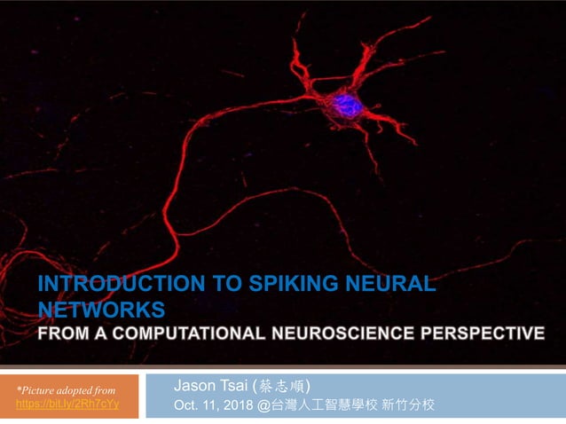 Introduction to Spiking Neural Networks: From a Computational Neuroscience perspective | PPTX