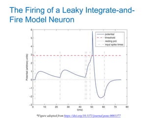 Introduction to Spiking Neural Networks: From a Computational ...