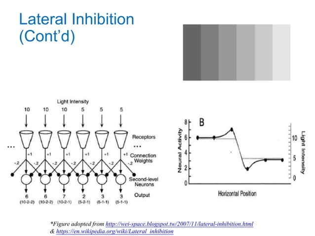 Introduction to Spiking Neural Networks: From a Computational Neuroscience perspective | PPTX