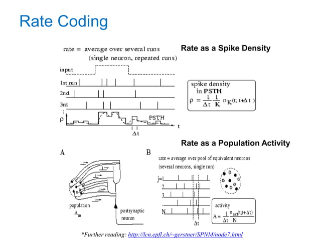 Introduction to Spiking Neural Networks: From a Computational Neuroscience perspective | PPTX