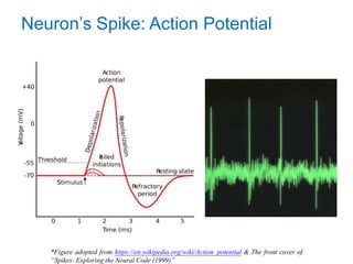 Introduction to Spiking Neural Networks: From a Computational ...