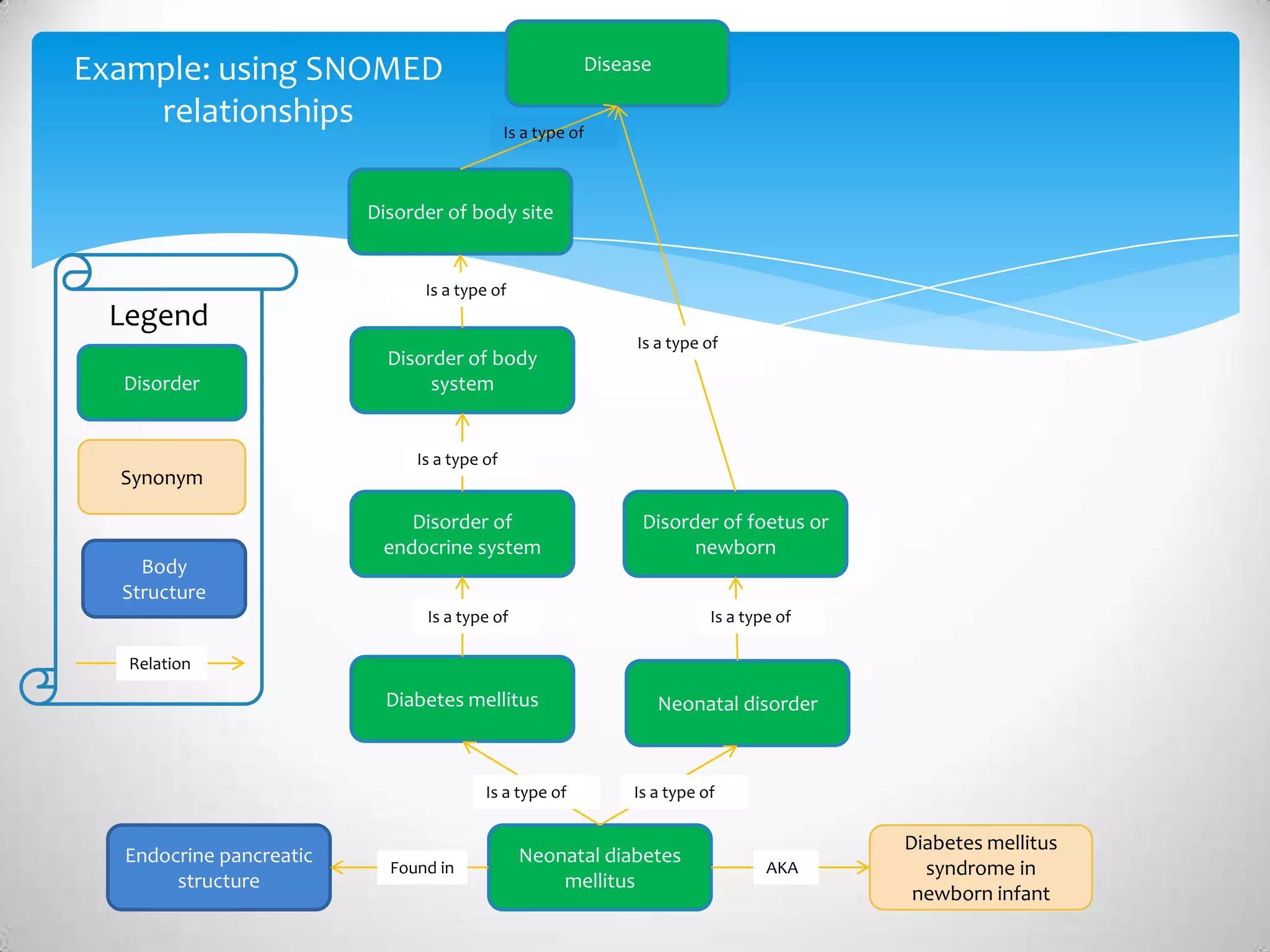 An Introduction to SNOMED CT | PPTX