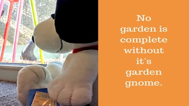 Snoopy Got A Library Card | PPT