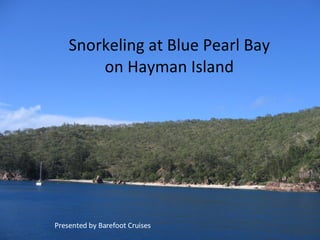 Snorkelling At Blue Pearl Bay | PPT