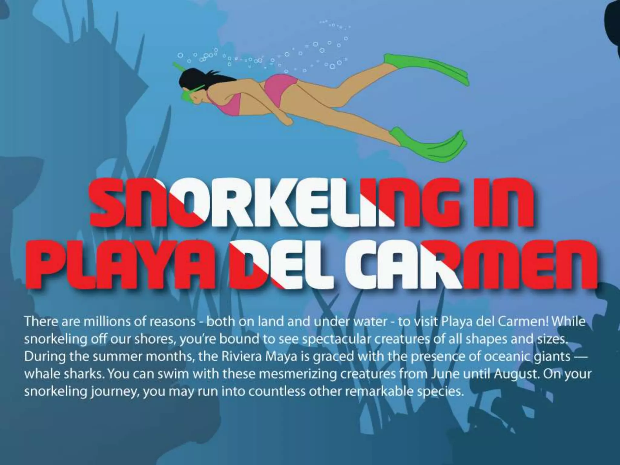 Snorkeling In Playa Del Carmen Infographic Slideshow | PPT