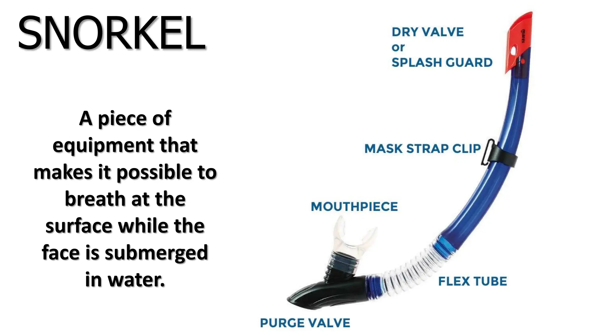 SNORKELING-Physical Education Grade 12 . | PPTX