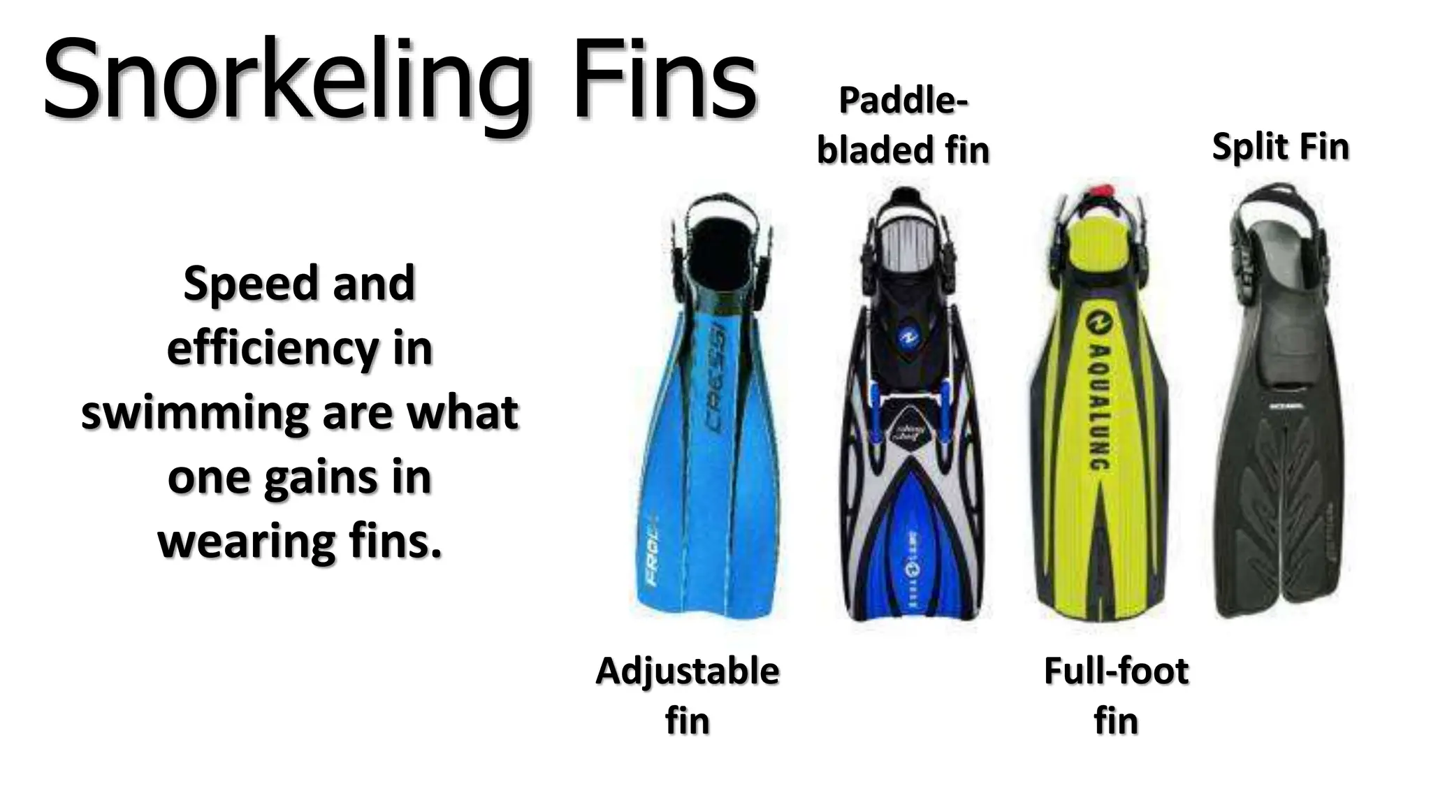 SNORKELING-Physical Education Grade 12 . | PPTX