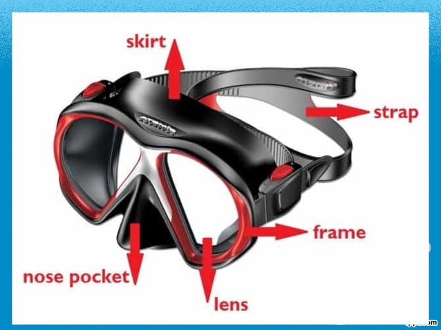 SNORKELING-PPT.ppt Physical Education and Health | PPT