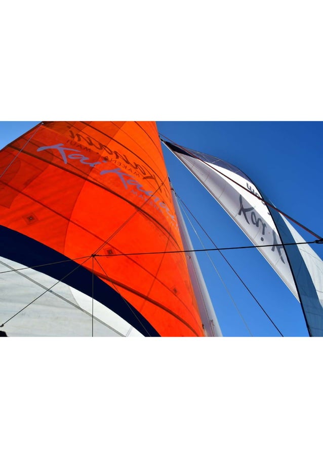 Snorkel Tours in Maui_ HI.pdf