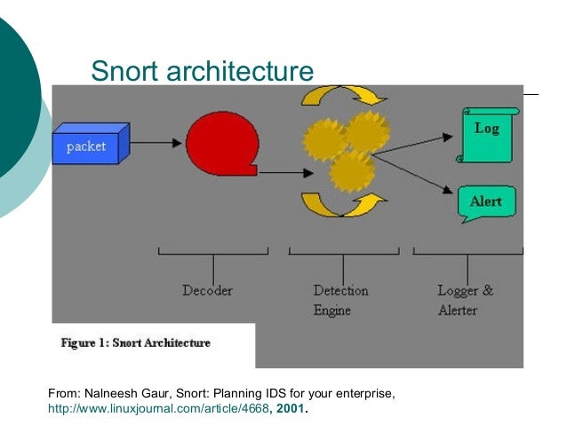 Snort