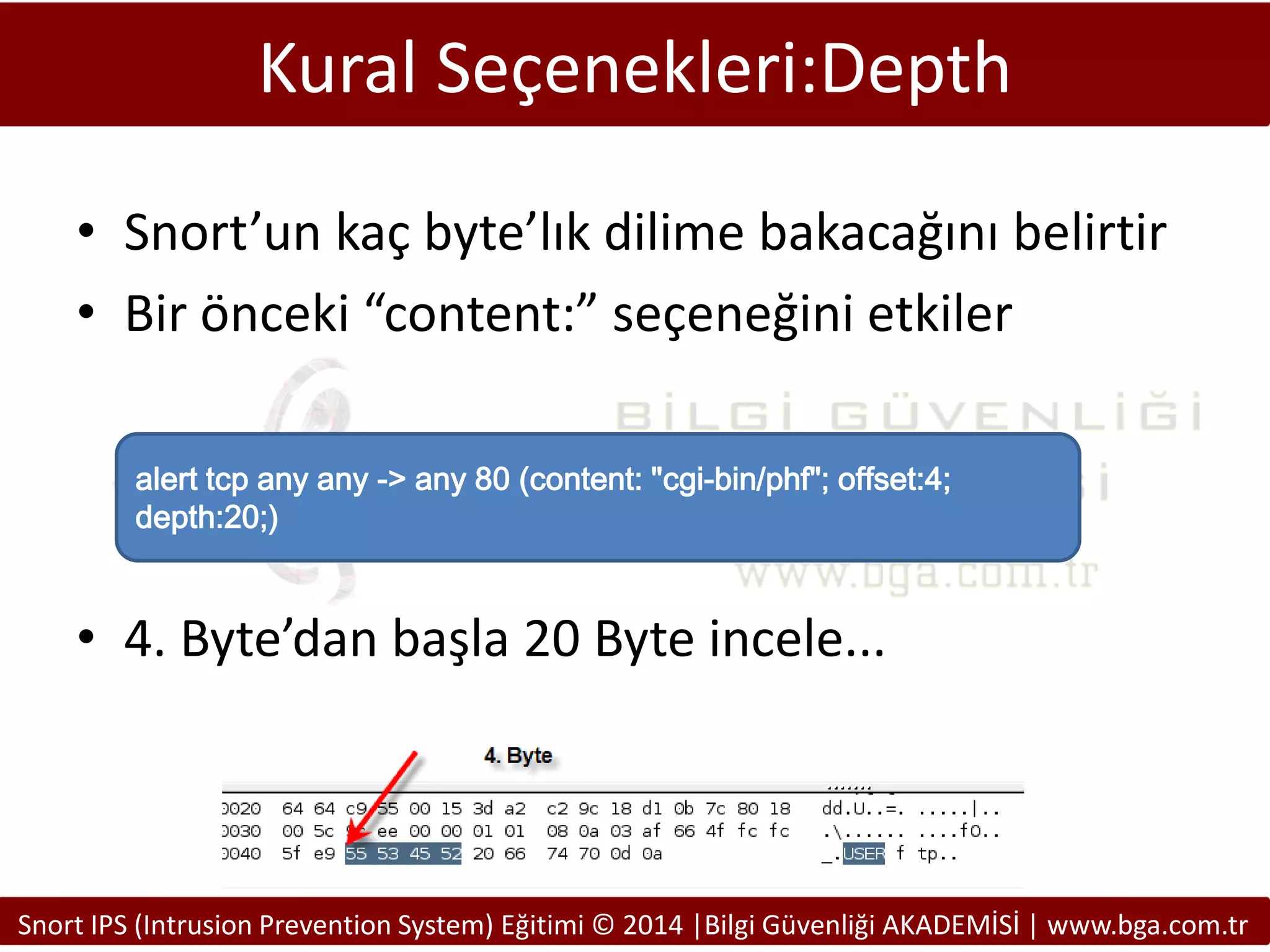 Snort IPS(Intrusion Prevention System) Eğitimi | PDF
