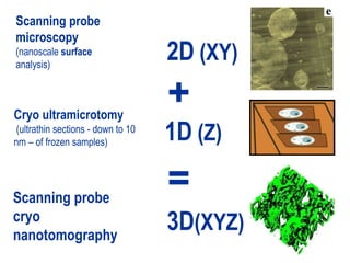 Snotra - scanning probe nanotomography technology | PPT