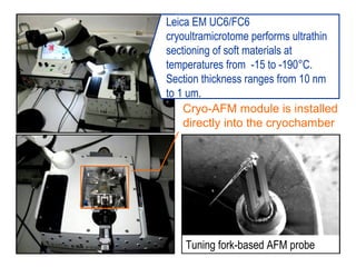Snotra - scanning probe nanotomography technology | PPT