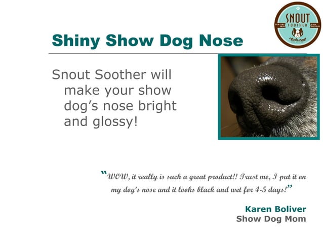 Snout soother slide show | PPT