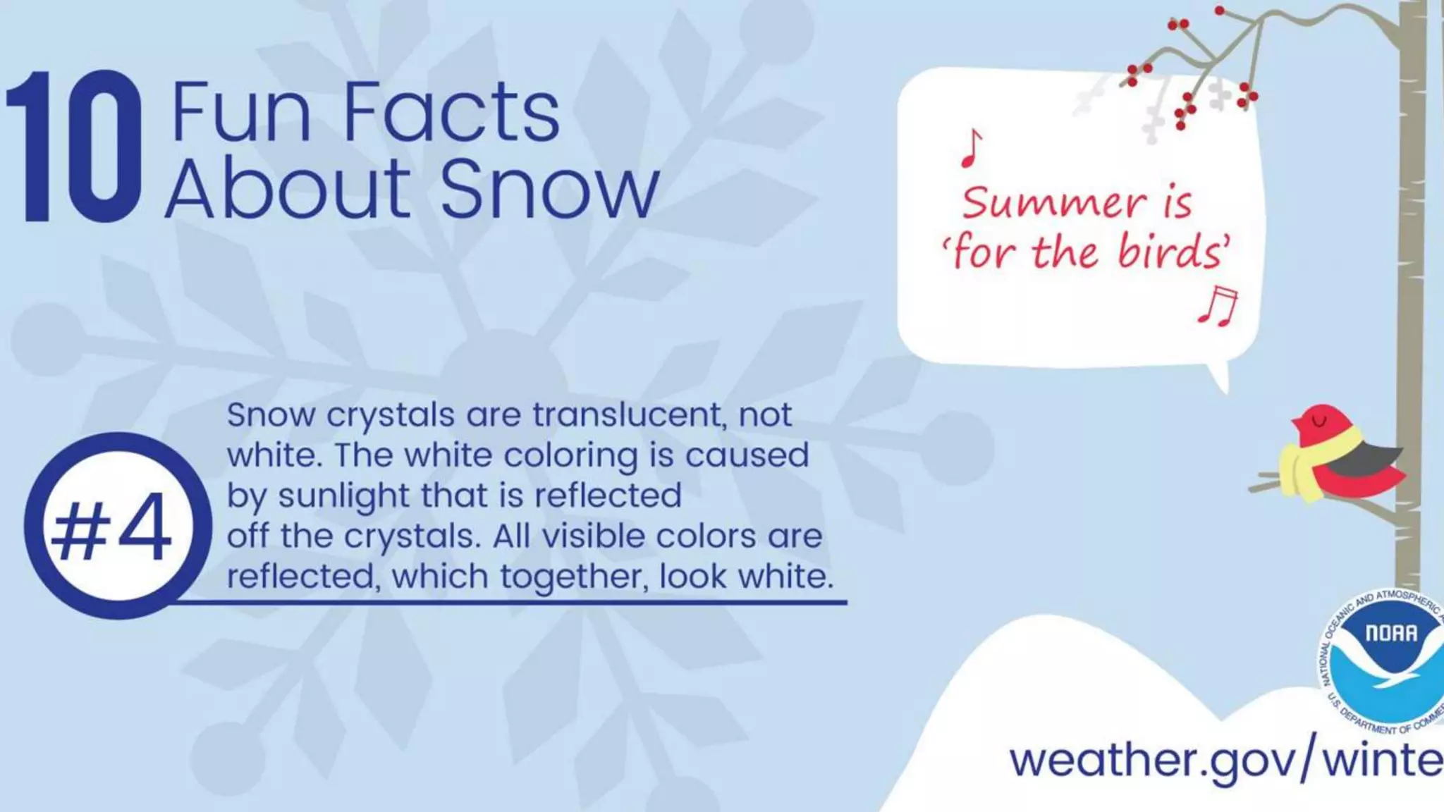 NOAA Fun Snow Facts | PPTX | Weather | Science