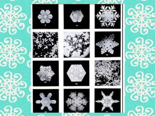 Snowflake bentley’s snowflakes | PPTX | Photography | Arts and Crafts