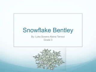 Snowflake bentley | PPTX
