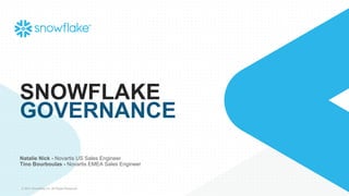Snowflake Data Governance | PDF