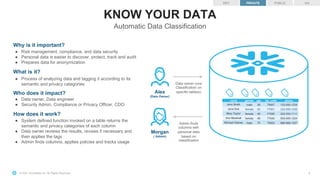 Snowflake Data Governance | PDF