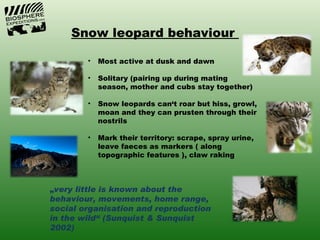 Snow leopard background | PPT | Cats | Pets