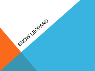 Snow leopard | PPT