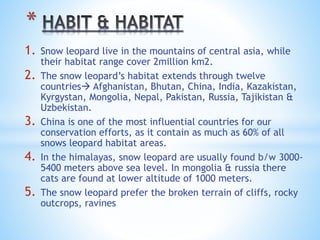 SNOW LEOPARD(PANTHERA UNCIA) | PPTX