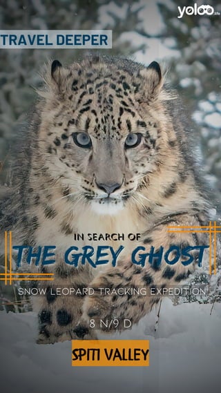 SNOW LEOPARD EXPEDITION BROCHURE SNOW LEOPARD EXPEDITION BROCHURE | PDF