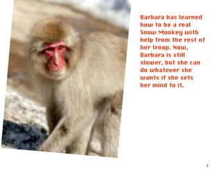 Snow Monkey Alle | PDF