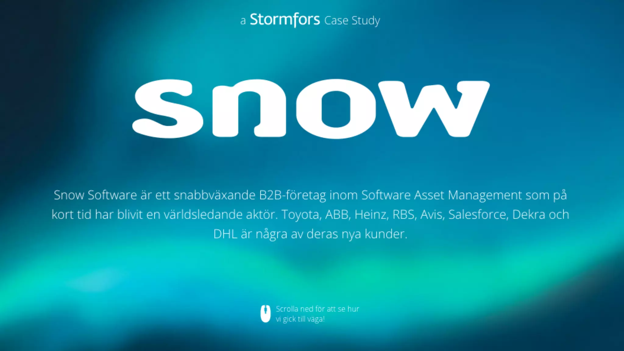 Snow Software Projektstudie | PDF