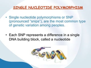 Snp | PPT