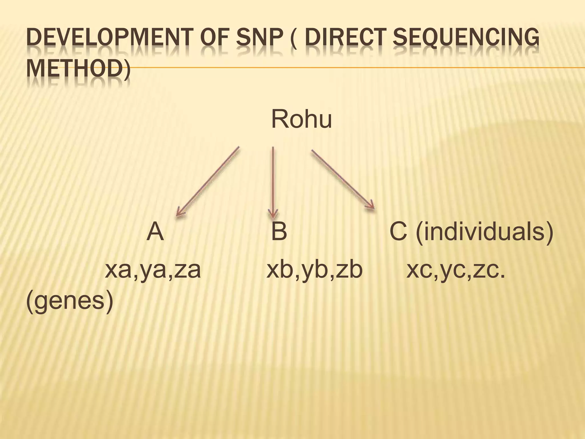 SNP | PPTX | Genetics | Science