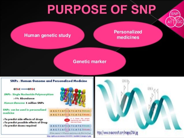 Snp