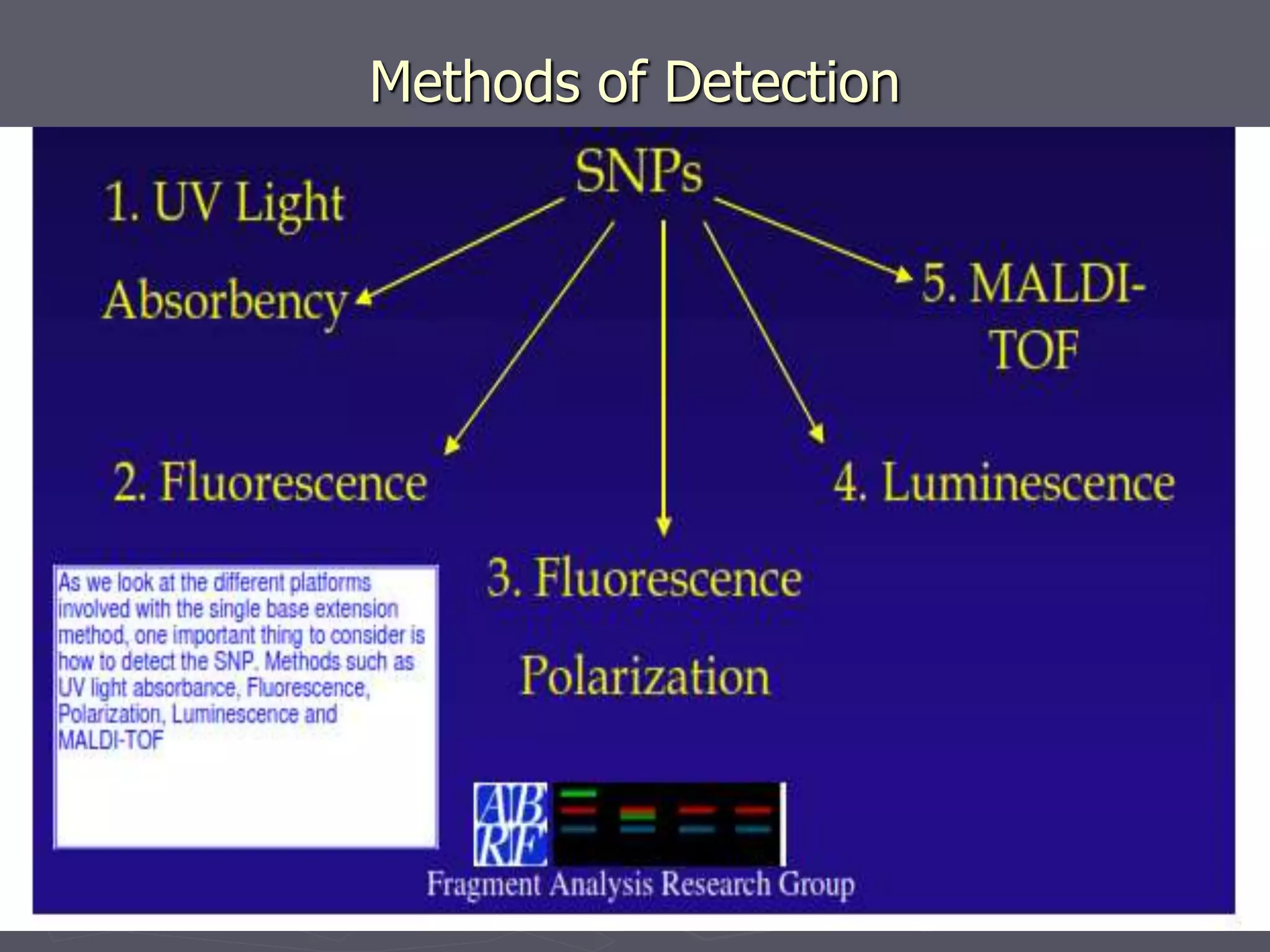 Single nucleotide polymorphism, (SNP) | PPT