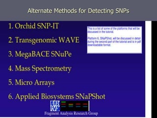 Single nucleotide polymorphism, (SNP) | PPT