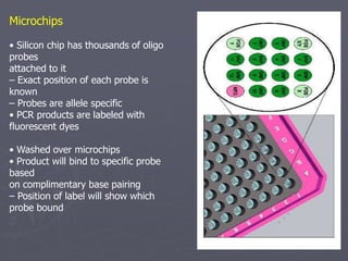 Single nucleotide polymorphism, (SNP) | PPT