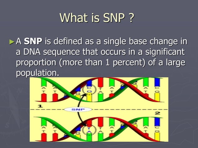 Single nucleotide polymorphism, (SNP) | PPT | Chemistry | Science