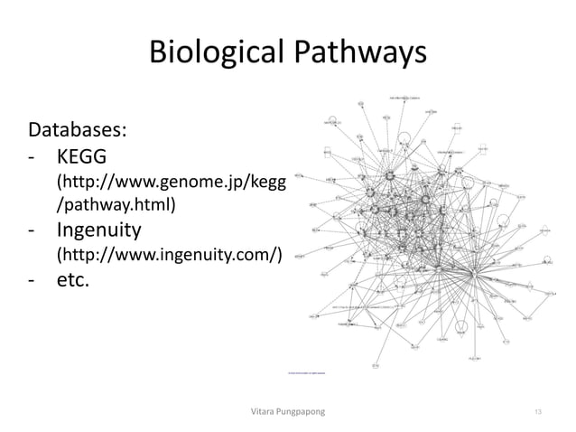 Single Nucleotide Polymorphism Analysis (SNPs) | PDF
