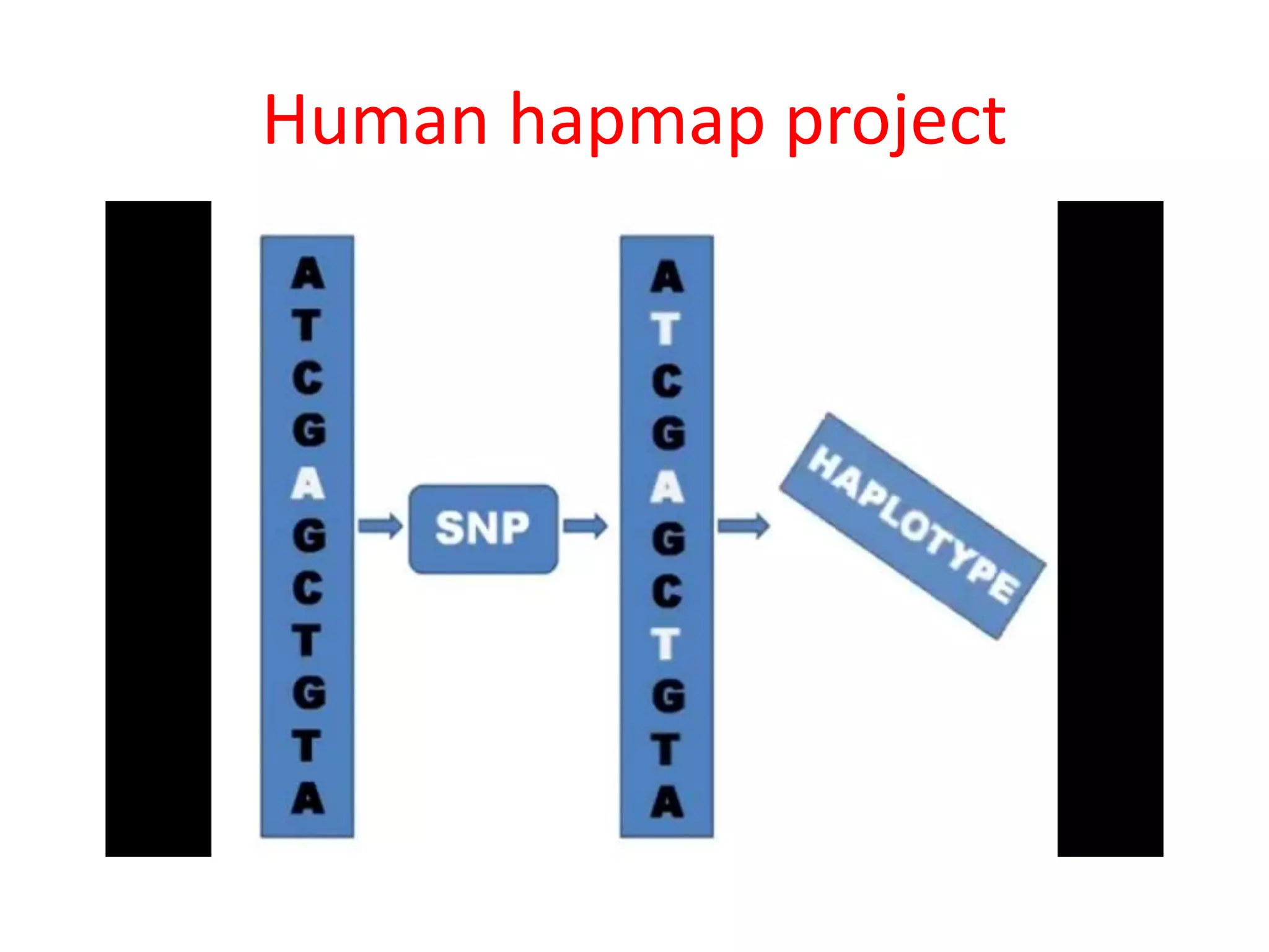 Snp and its role in diseases | PPTX