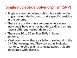Snp and its role in diseases | PPTX
