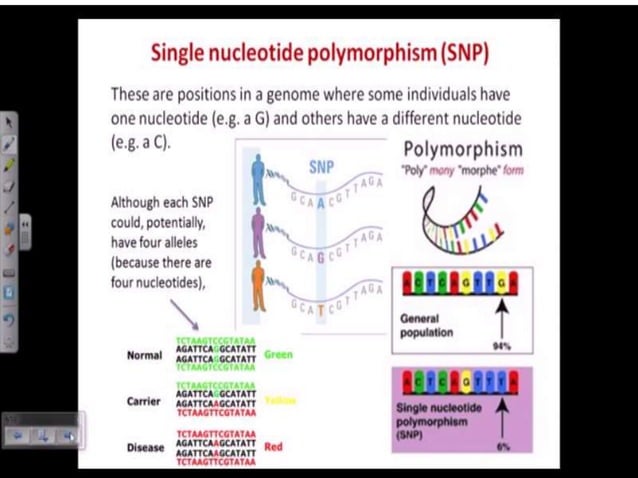 Snp and its role in diseases | PPTX | Lung and Respiratory Health ...