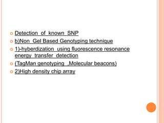 Snp by wajahahat ali | PPT