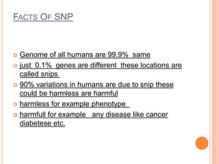 Snp by wajahahat ali | PPT